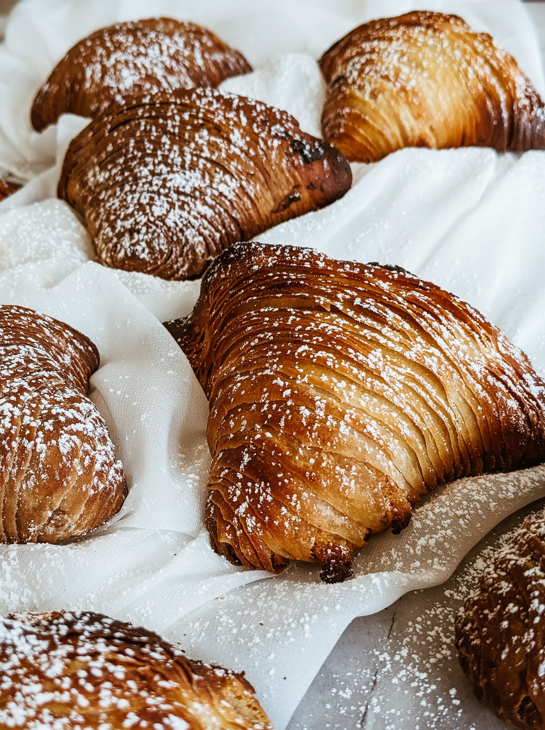 Sfogliatelle – Bisnonna Bakeshop